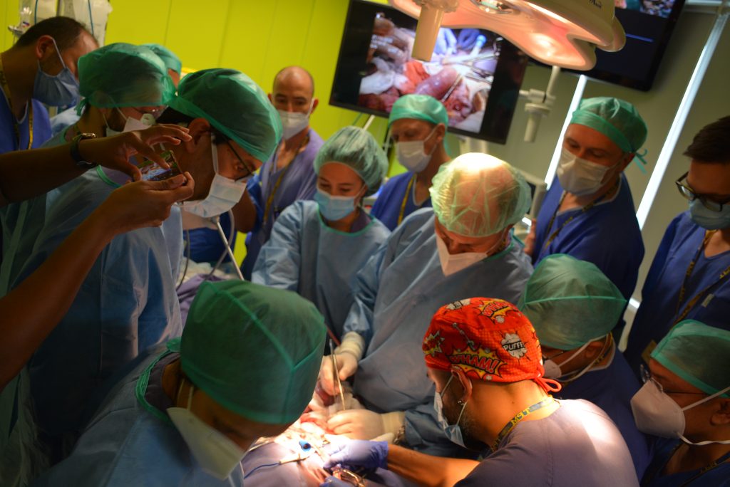 Training | DTI Foundation | Donation & Transplantation Institute